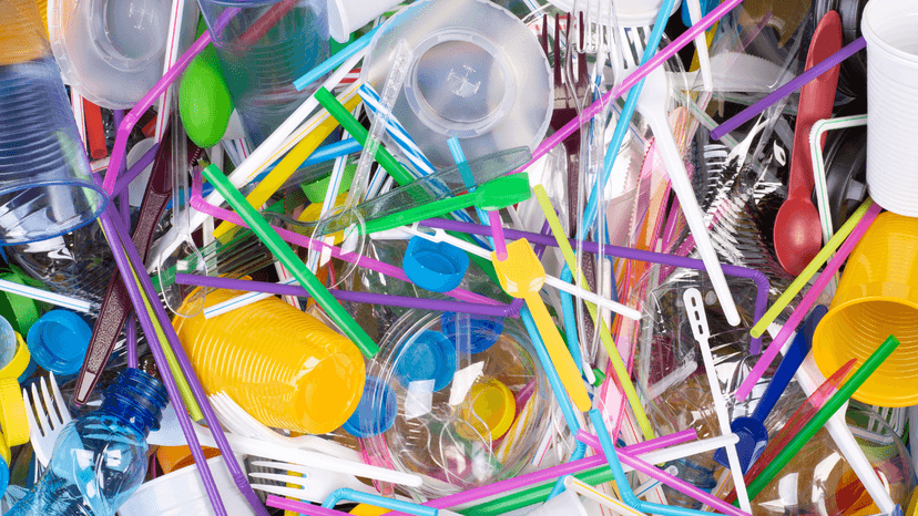 Environmental Impact of Single-Use Plastics vs. Compostables