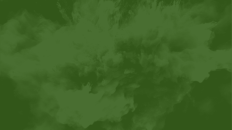 Custom Printing | Green Paper Products